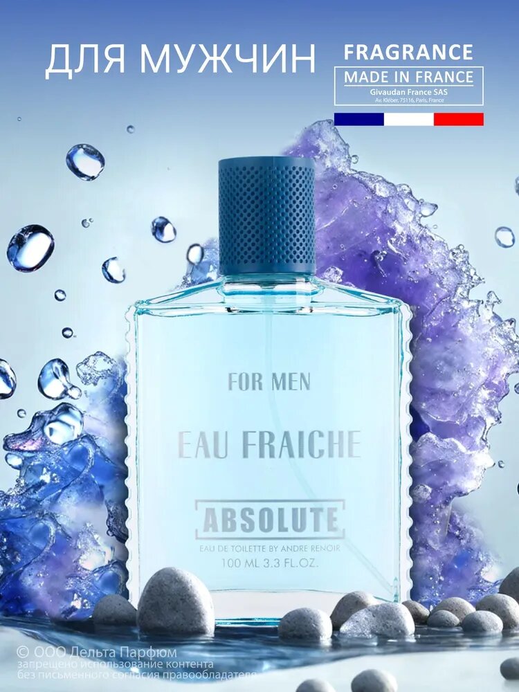 Туалетная вода мужская Absolute Eau Fraiche 100 мл. Духи мужские свежесть