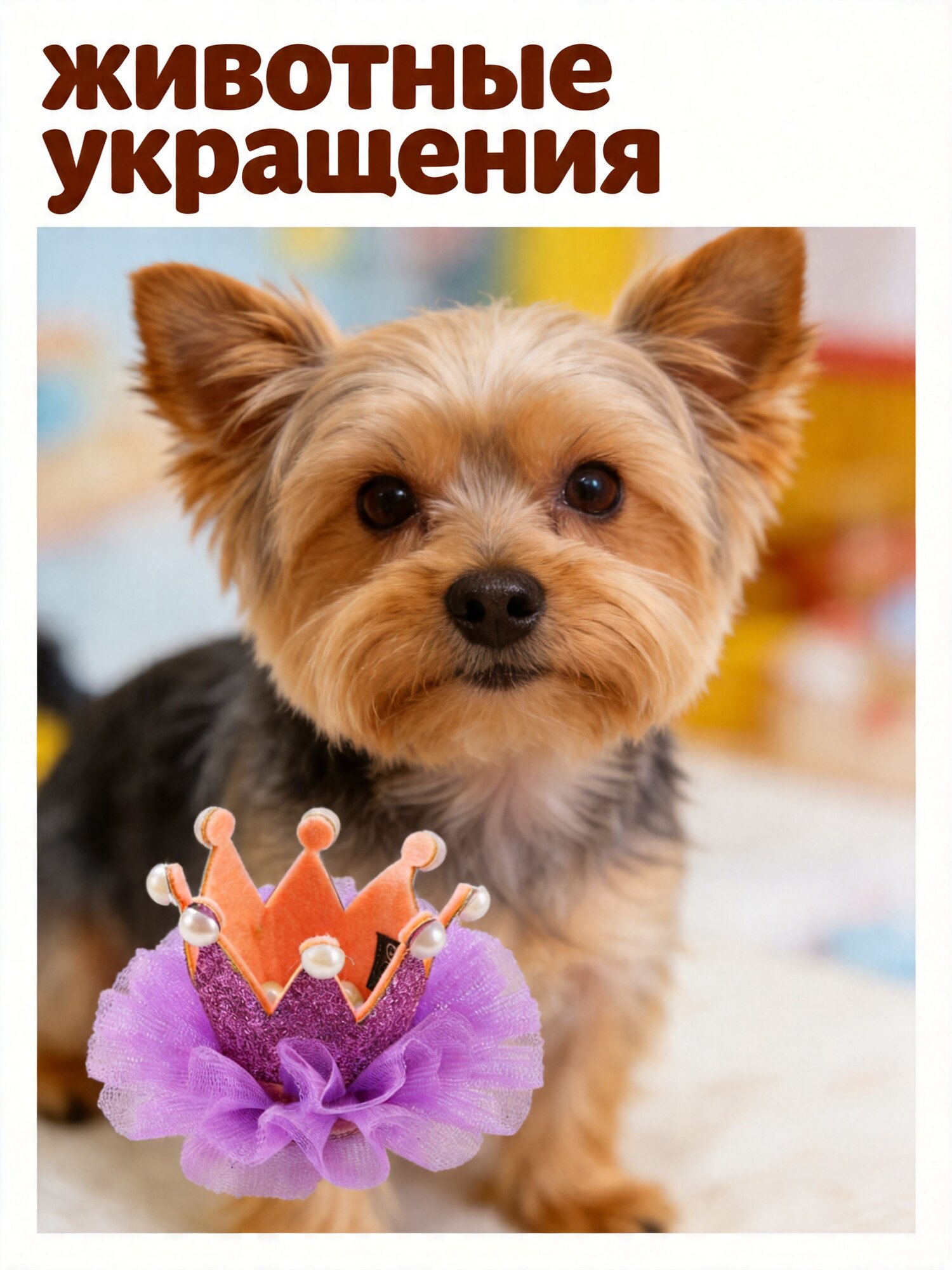 Творческий Коронный Головной Убор В 形е Для Кошек И Собак Фиолетовый Размер 1