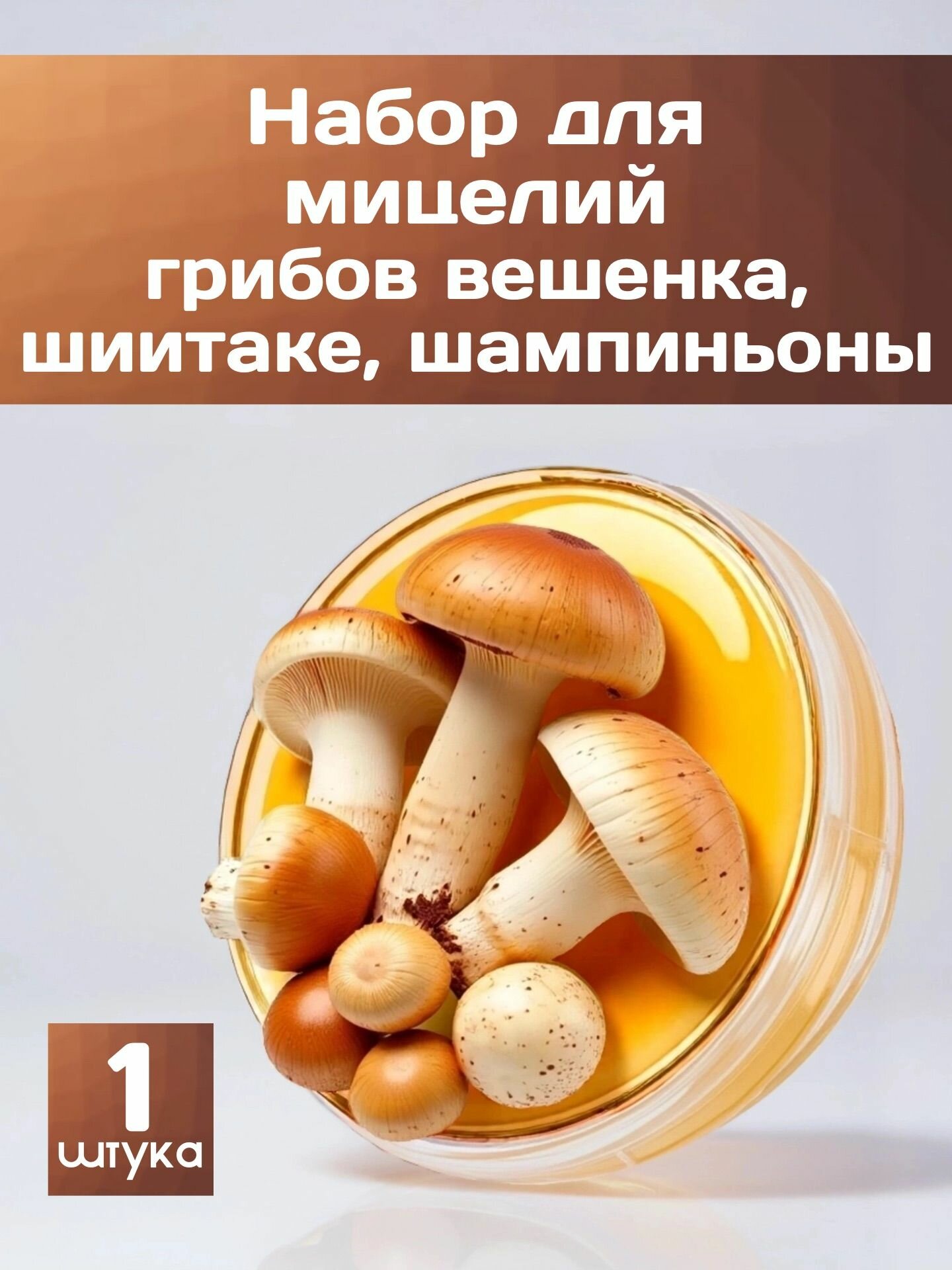 Чашка Петри для выращивания грибов дома (вешенка, шиитаке, шампиньоны)