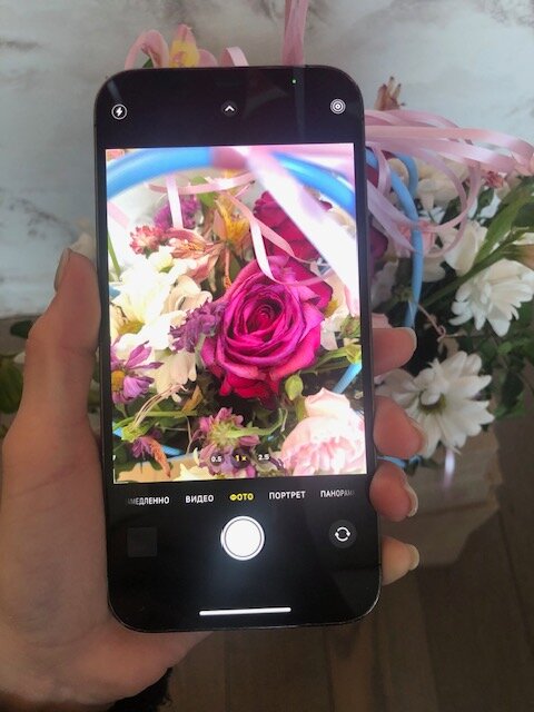 Смартфон Apple iPhone 12 Pro Max 128 ГБ Graphite Gray 100% #56