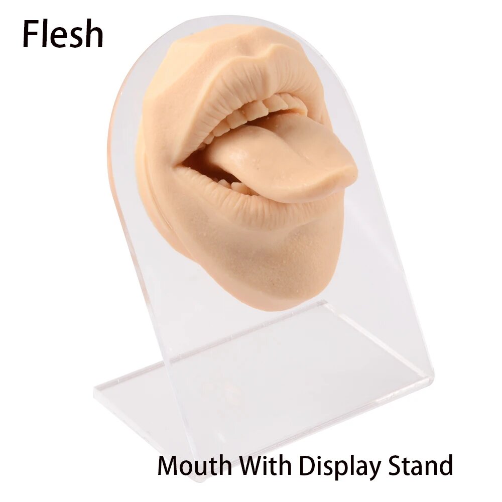 Модель рта из силикона CHUANCI, Flesh