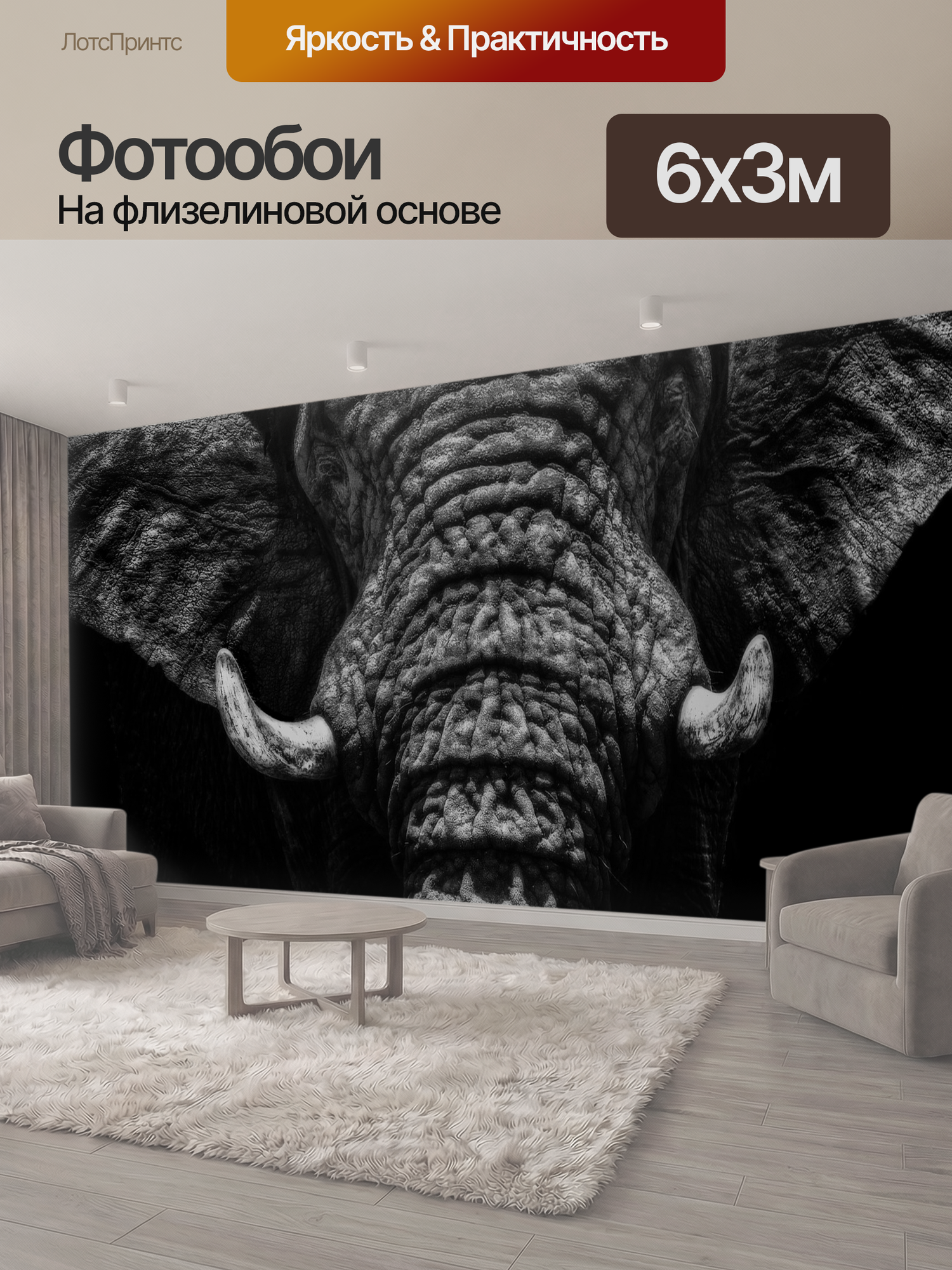 Фотообои "Слон, закрыть, черное и белое" 600x300 см. экосольвентная печать