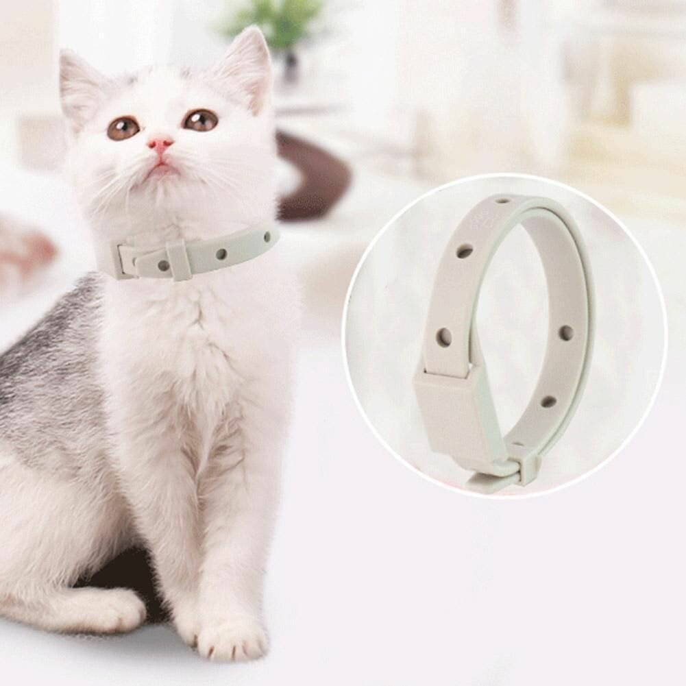 Ошейники, подходящие для кошек и собак для удаления вшей