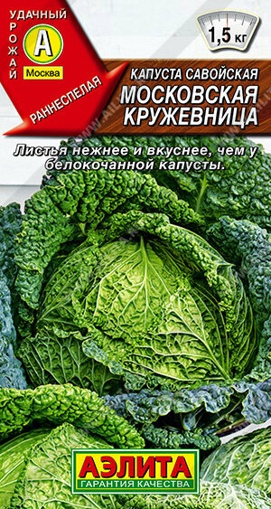 Капуста савойская Московская кружевница