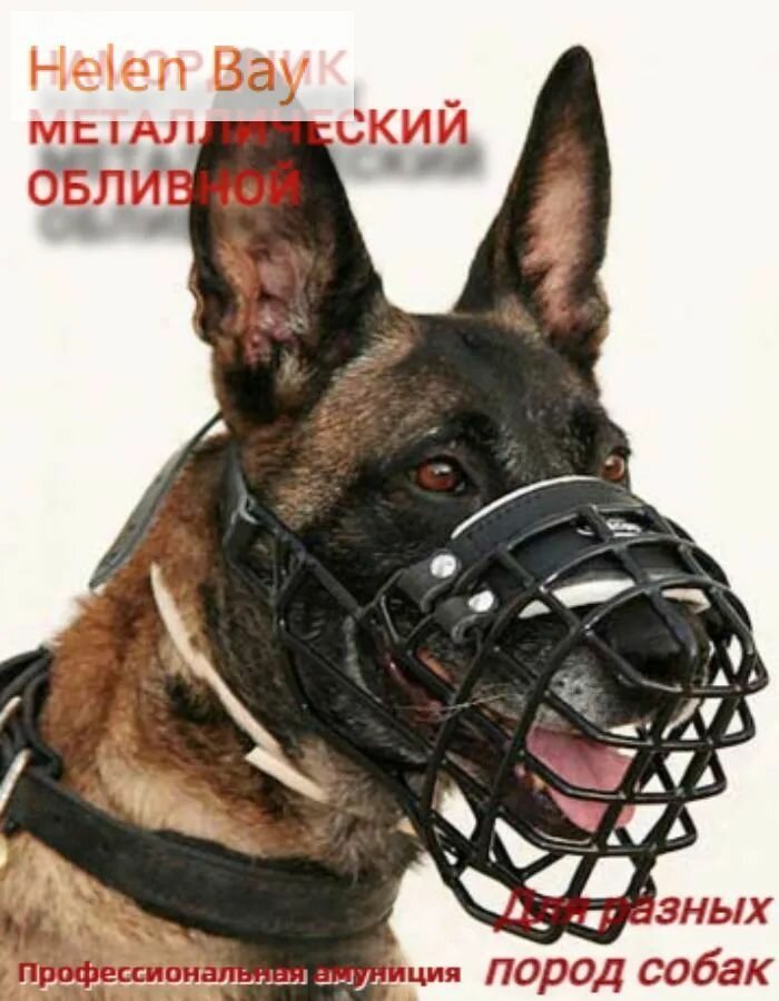 Металлический намордник для собак.