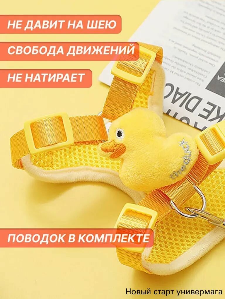 Шлейка