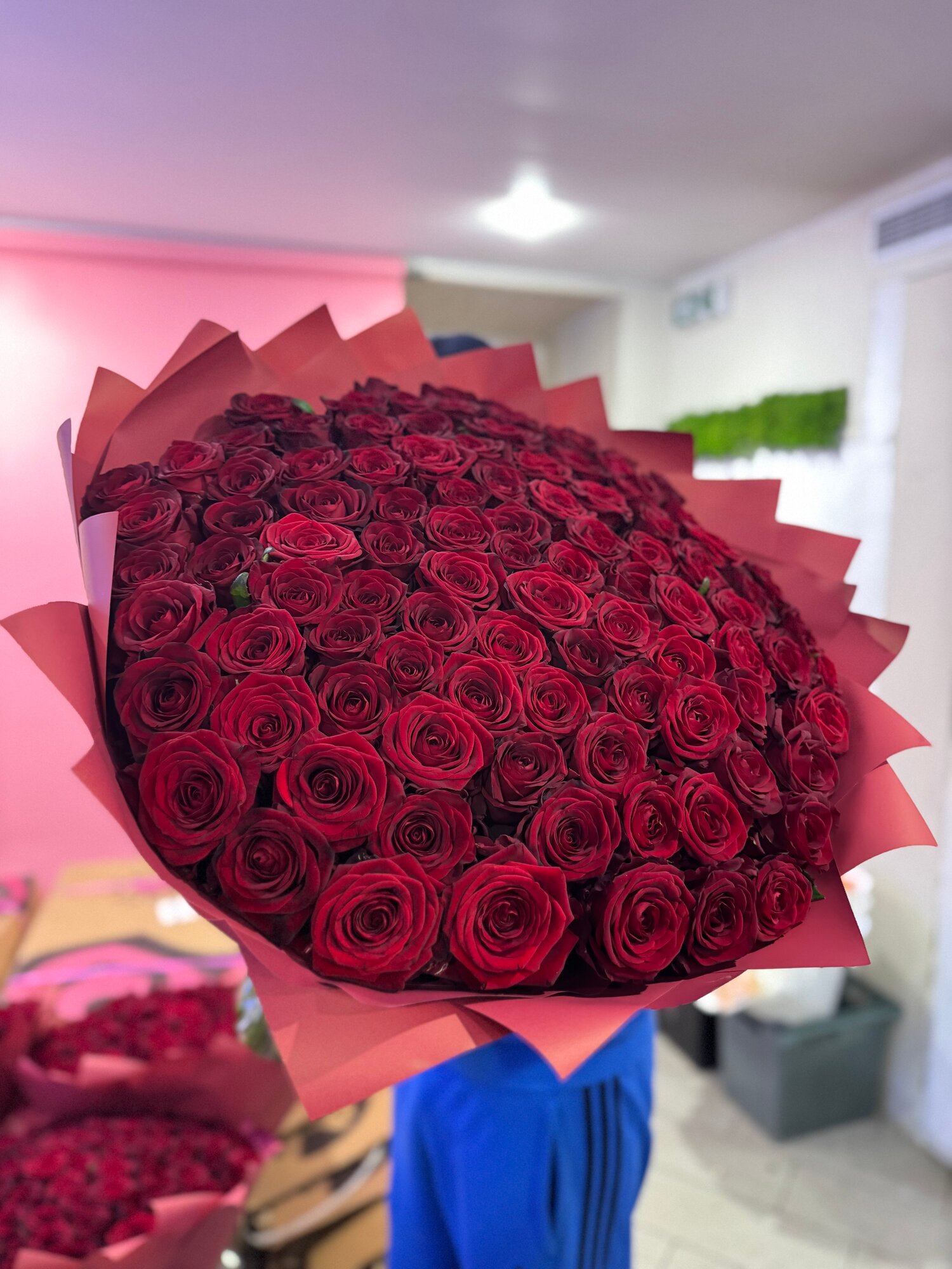 Букет из 101 ароматной розы "Рэд Наоми" 60 см в подарочной упаковке