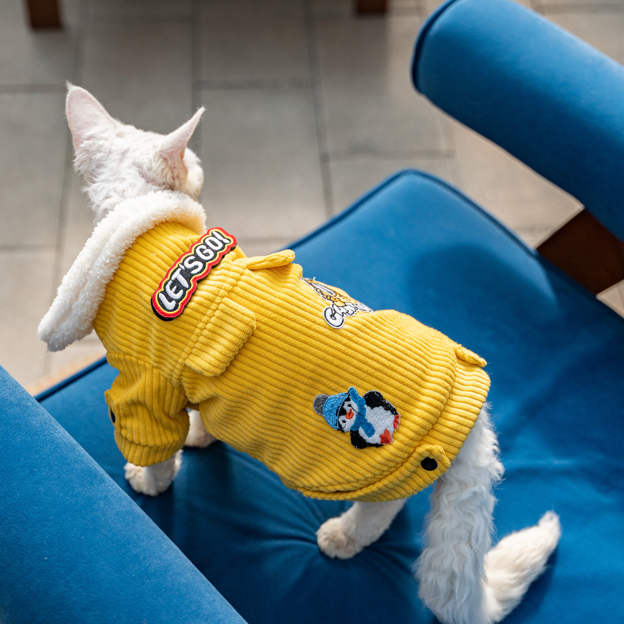 Куртка из вельвета на флисе, модная, с вышивкой на липучках, для безшерстных кошек, одежда для кошек породы Девон,