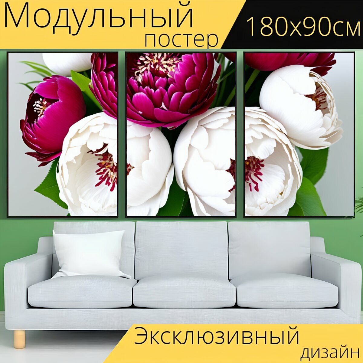 Модульный постер "Букет пионов в белом и бордовом цветах, крупные, яркие цветы, с большими нежными лепестками, на белом фоне." 180 x 90 см. для интерьера на стену в тубусе
