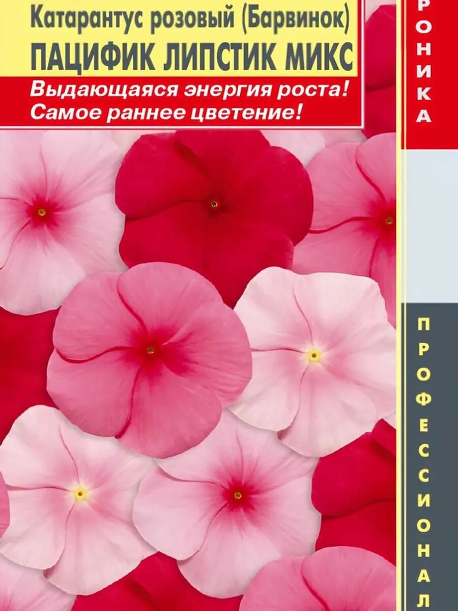 Катарантус розовый (Барвинок) Пацифик Липстик Микс 8 шт, Плазменные семена