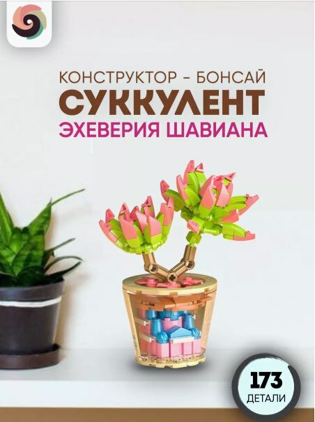 Конструктор цветы Суккулент "Эхеверия Шавиана"