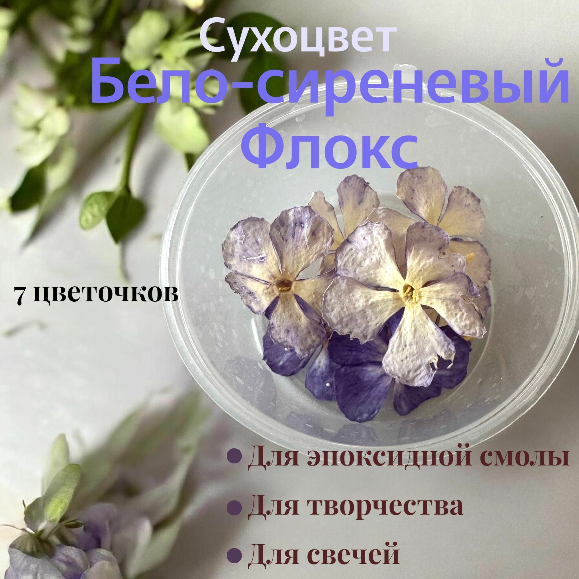 Сухоцвет Бело-сиреневый Флокс. Набор сухоцветов для эпоксидной смолы, свечей и творчества