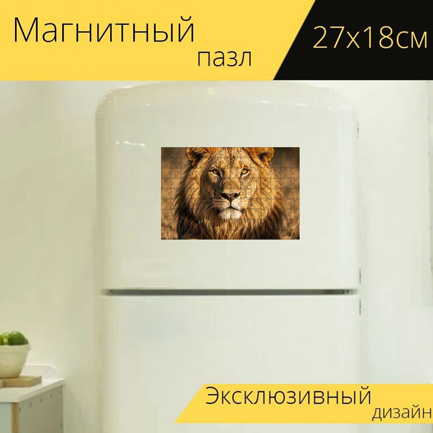 Магнитный пазл "Могучий лев в саванне. Крупный хищник с пышной гривой лежит в высокой сухой траве, пронзительный взгляд в камеру, теплые." на холодильник 27 x 18 см.
