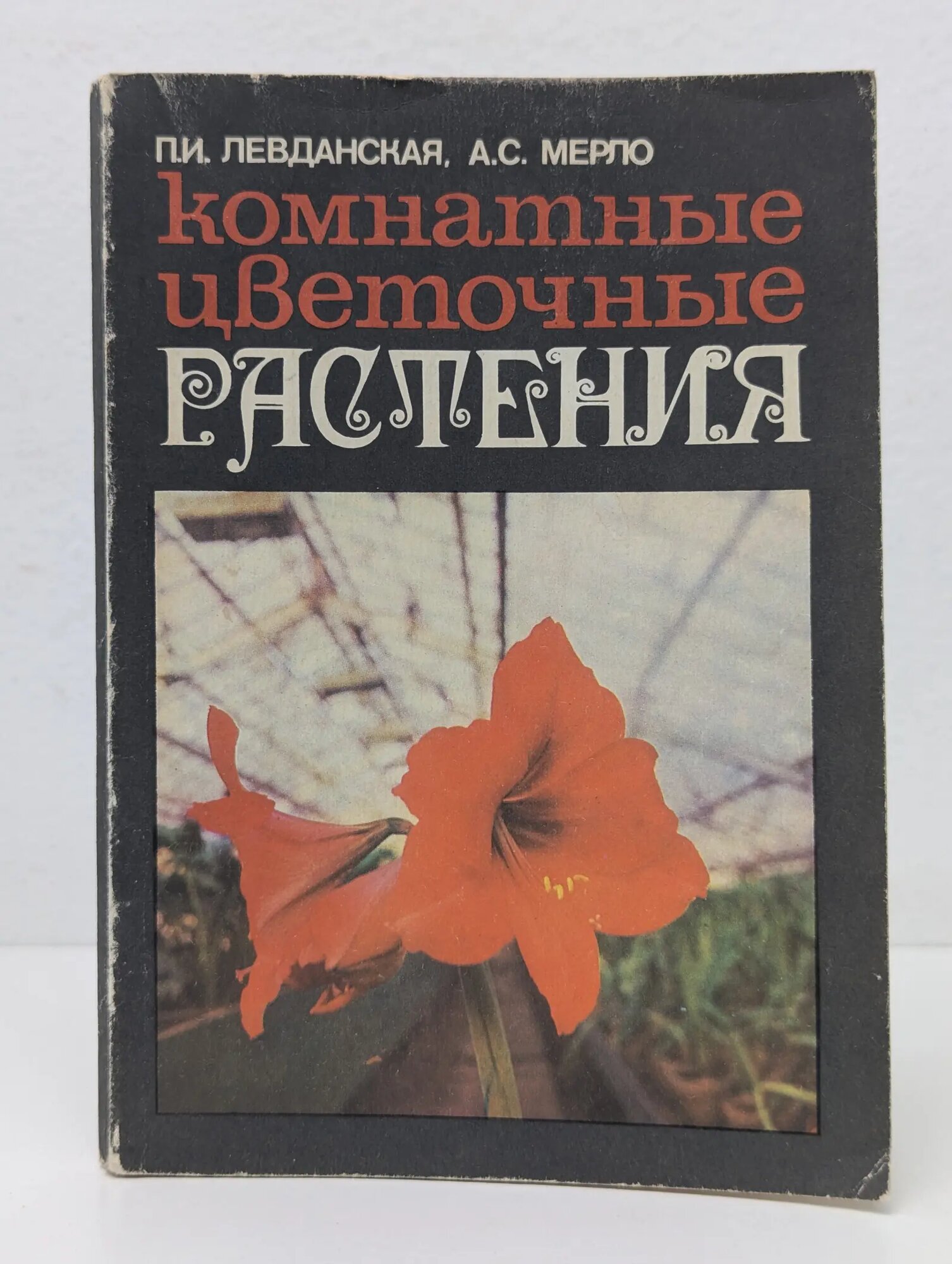 Комнатные цветочные растения Мерло Анна Станиславовна, Левданская Прасковья Игнатьевна 1978
