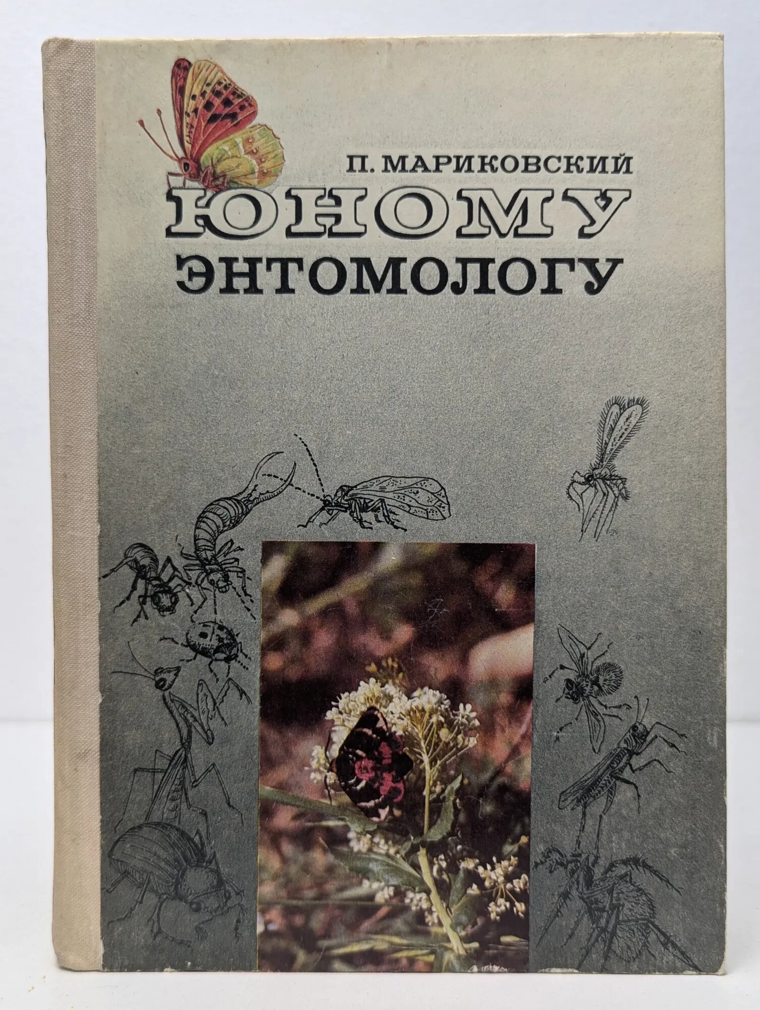 Юному энтомологу Мариковский Павел Иустинович 1978