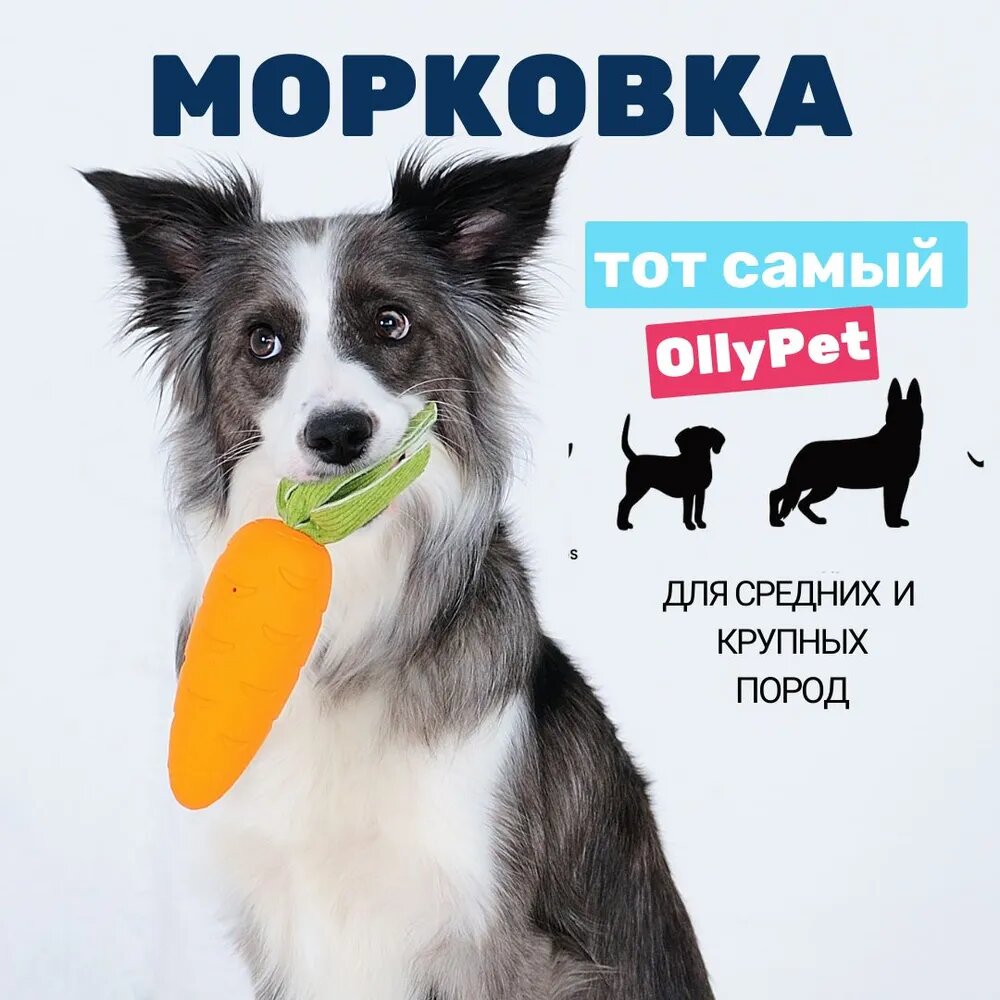 Игрушка для собак крупных и средних пород с пищалкой Морковка, прочная резиновая жевательная игрушка грызак OllyPet