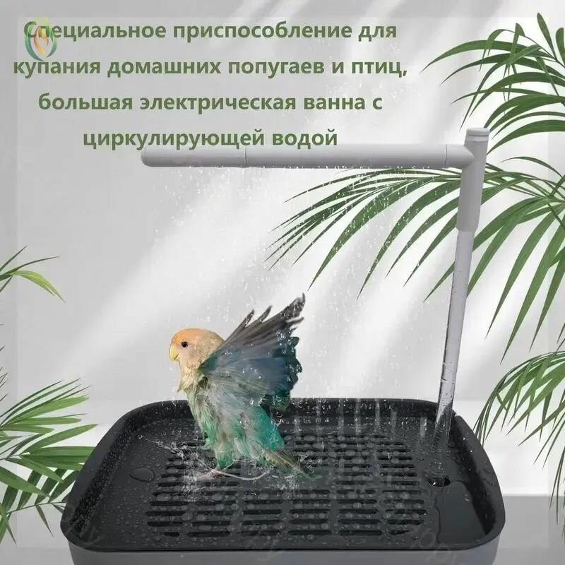 Душ для попугая-Специальное приспособление для купания домашних попугаев и птиц, Бесшумный, Регулируемая скорость потока-маленькийещё