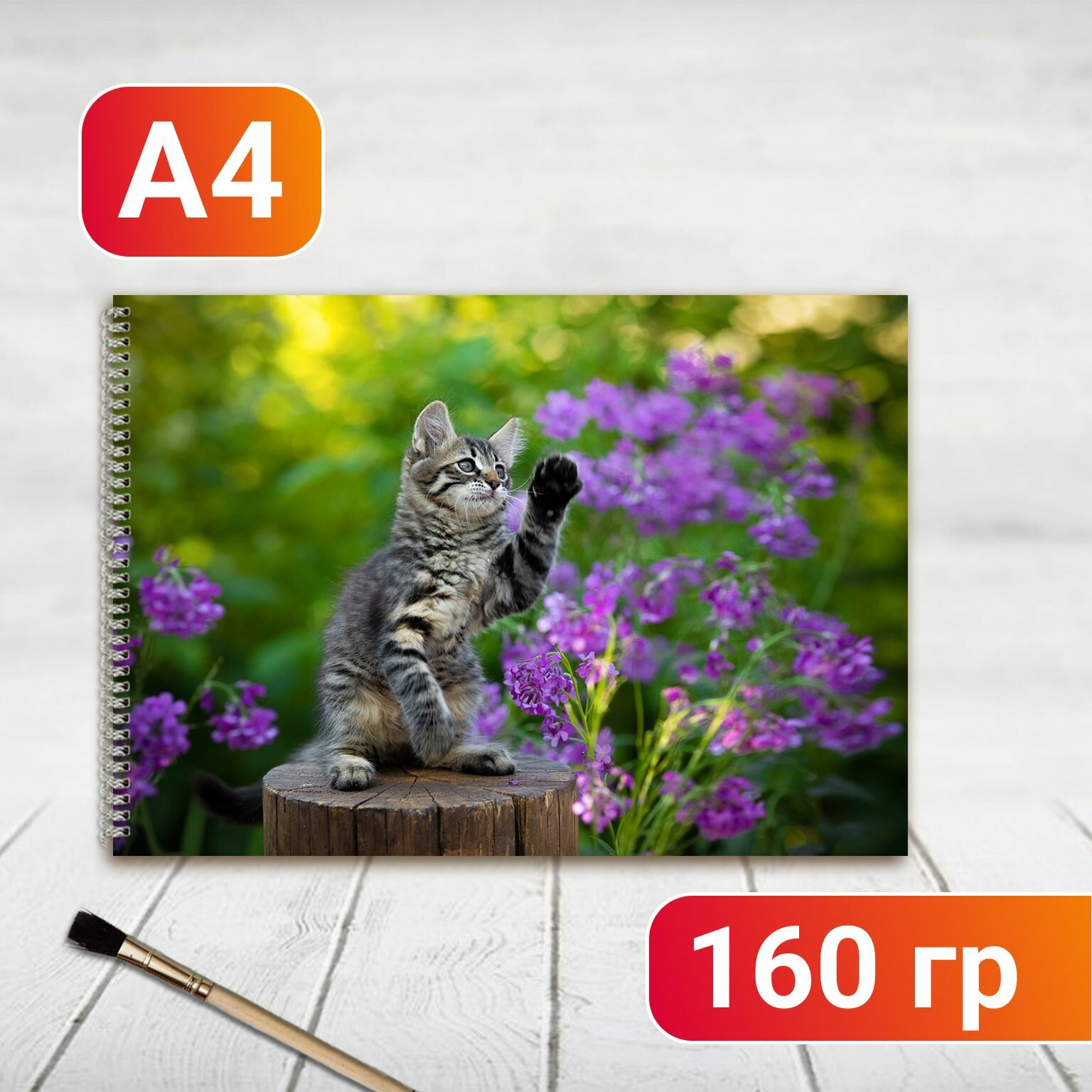 Альбом для рисования Котик