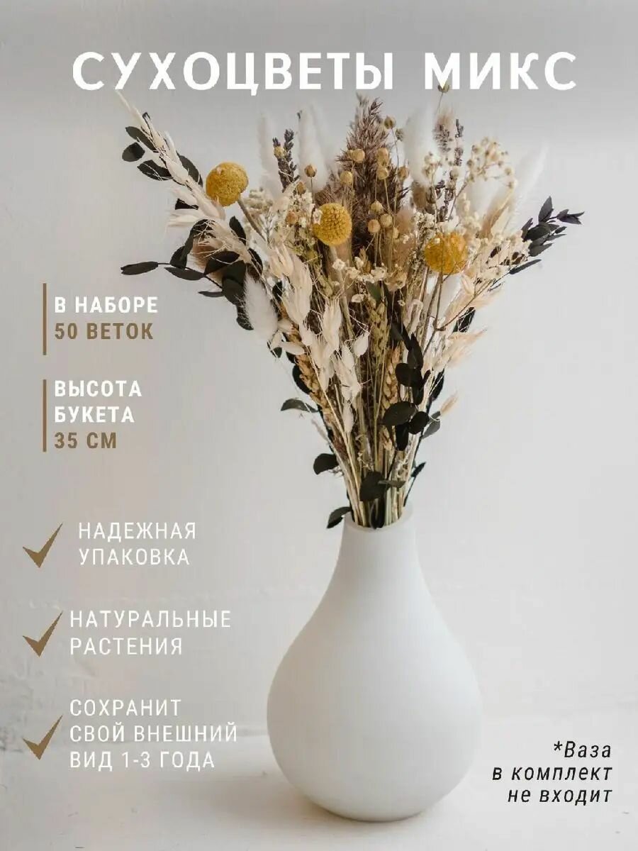 Сухоцветы, букет сухоцветов