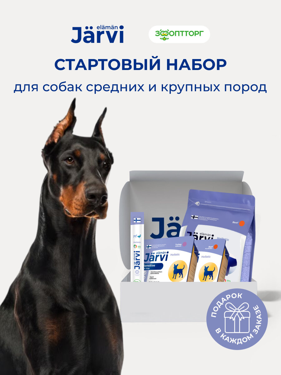 Стартовый набор Jarvi для собак средних и крупных пород