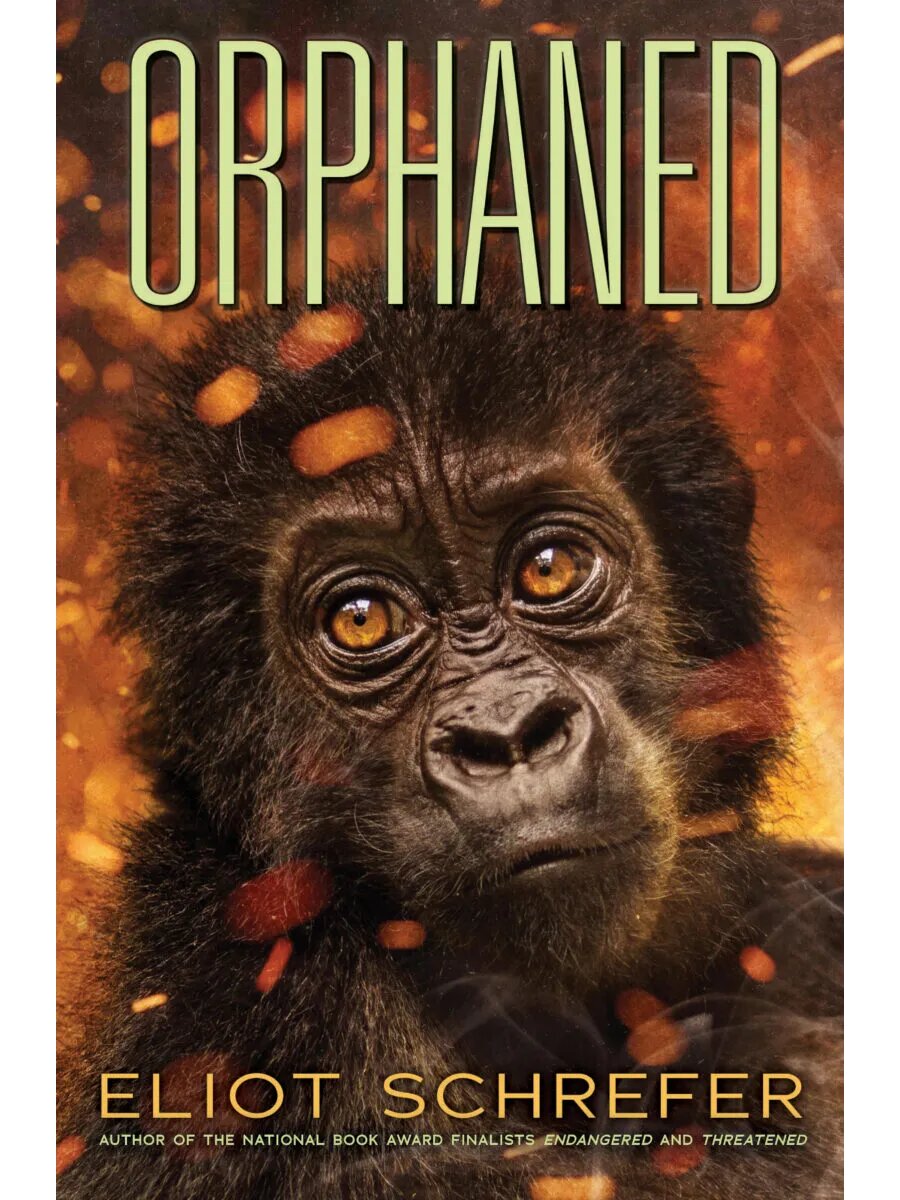 Orphaned / Книга на Английском