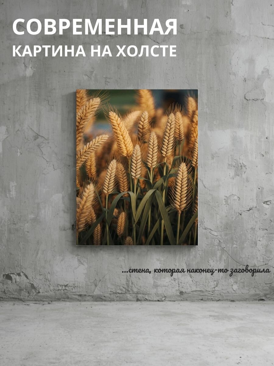Картина на холсте Колосья пшеницы 30x40 см