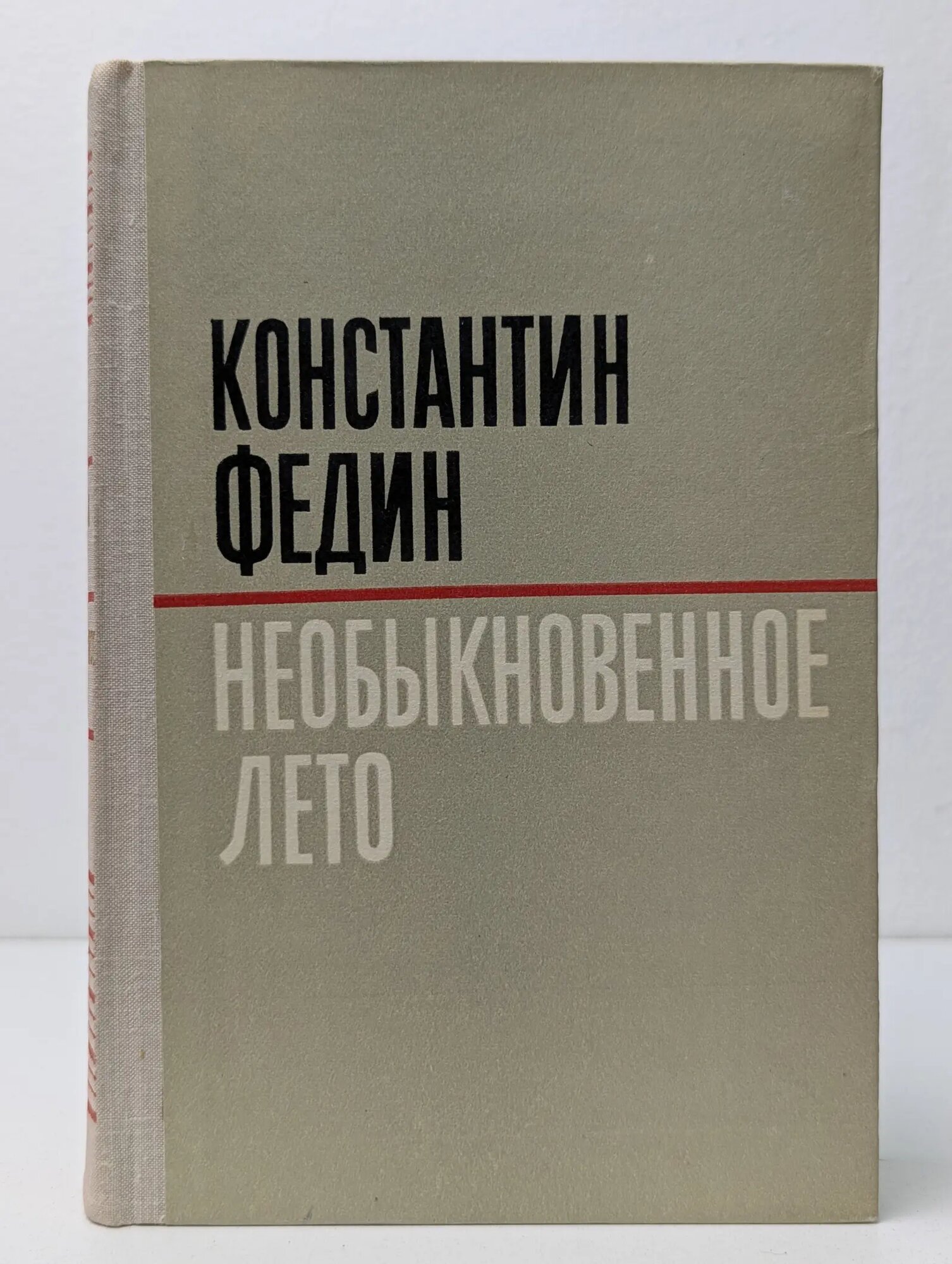 Необыкновенное лето Федин Константин Александрович 1980