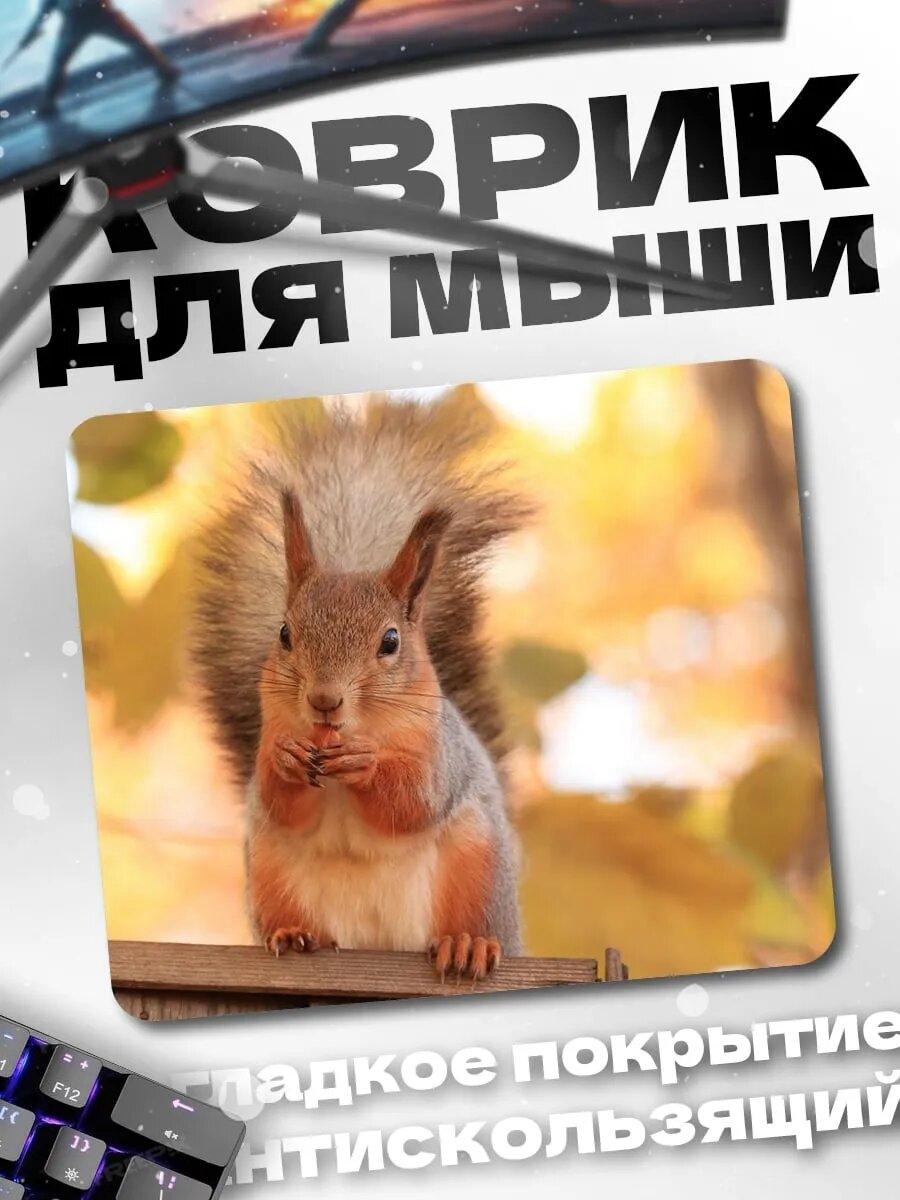 Коврик для мыши Рыжая белка осенью