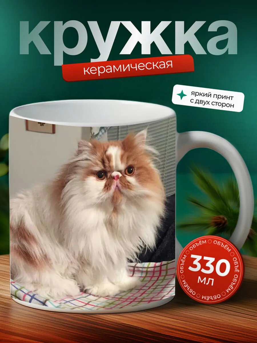 Кружка Иранский персидский кот 8,