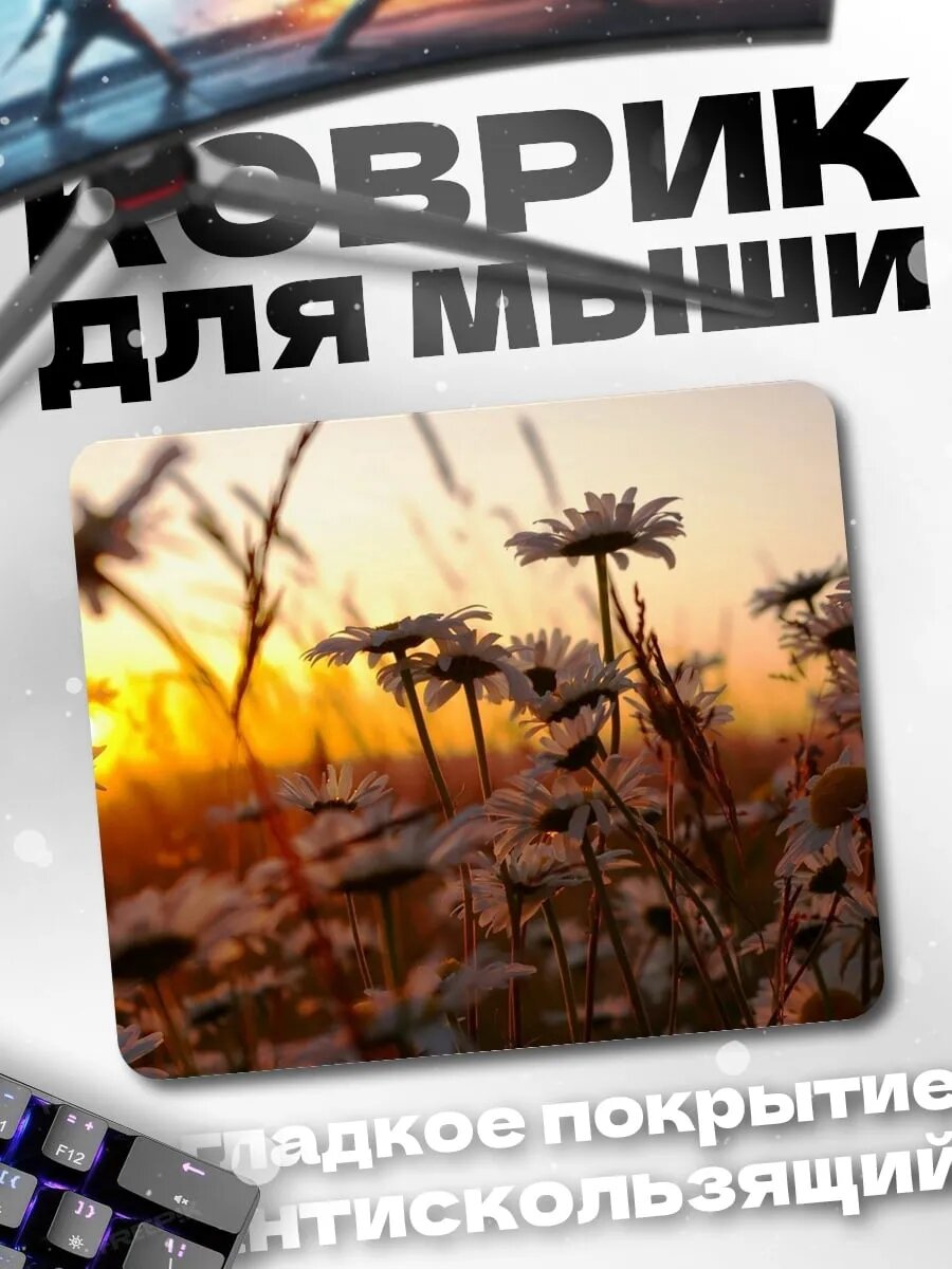 Коврик для мыши ромашки на закате