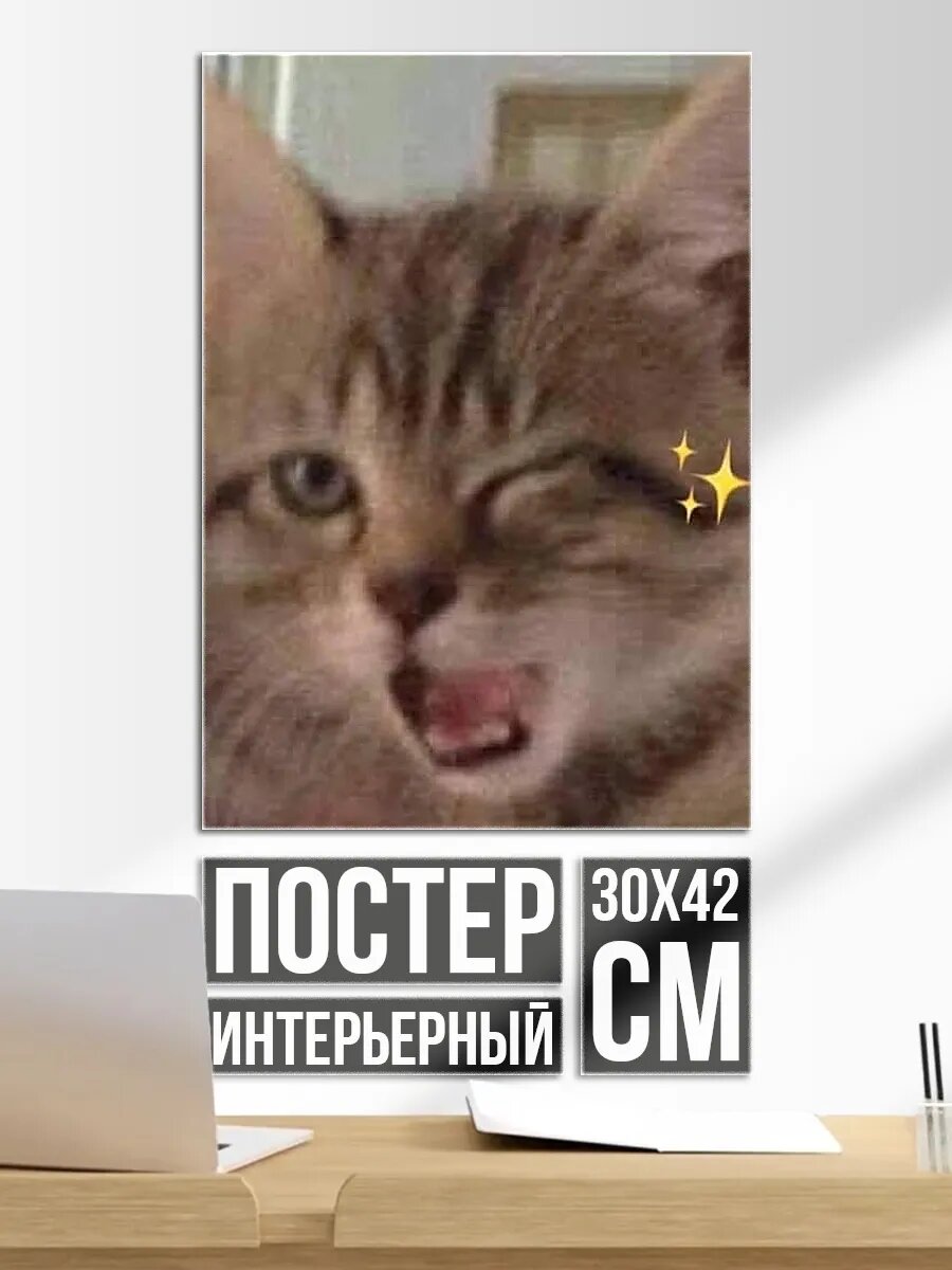 Плакат постер Улыбающийся котенок