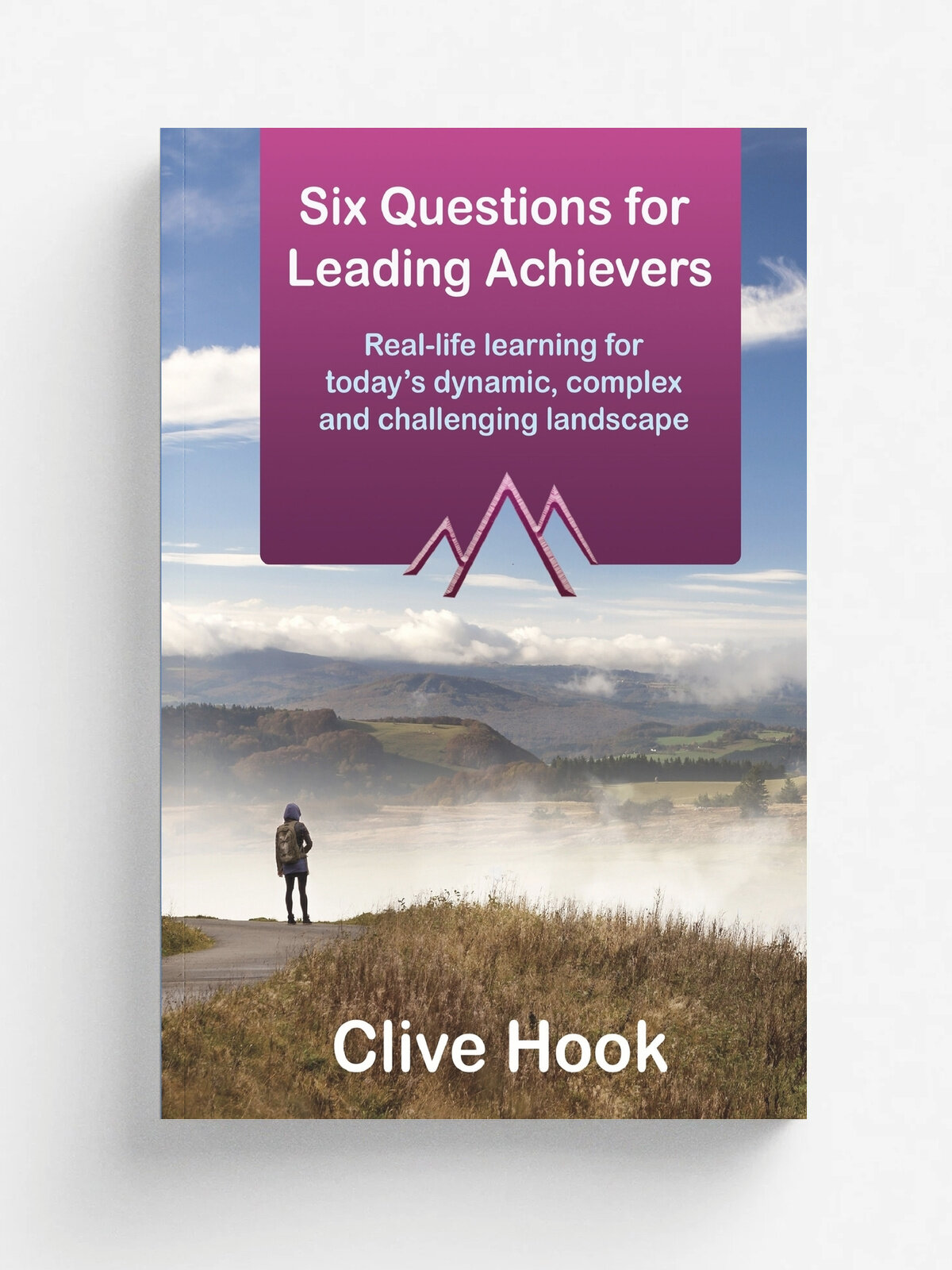 Six Questions For Leading Achievers