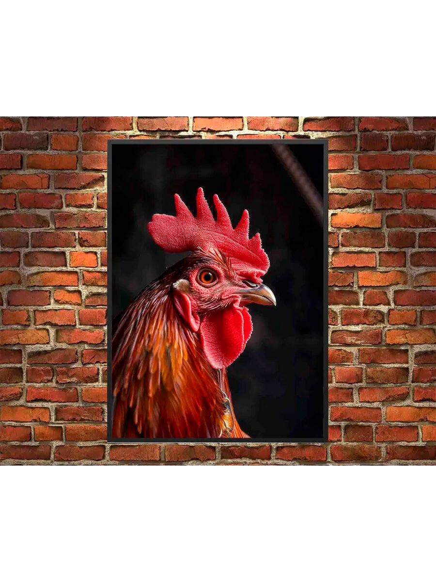 Петух-птица-строитель 1, Плакат 30x42см