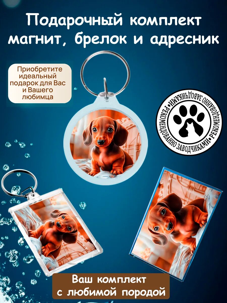 Подарочный комплект магнит брелок адресник