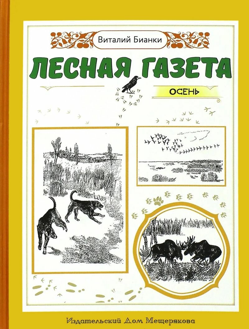 Лесная газета. Осень