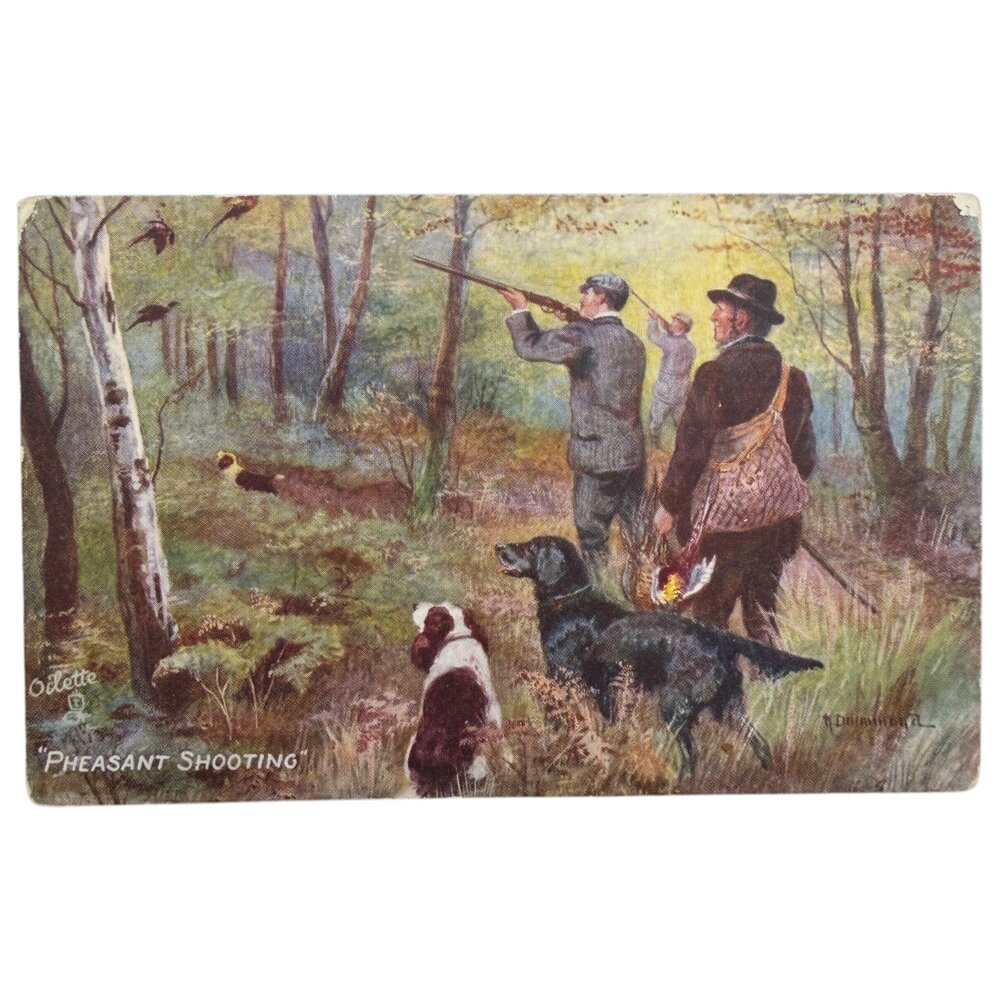 Почтовая открытка "Охота на фазанов - Oilette" 1905-1920 гг. Raphael Tuck & Sons. Великобритания