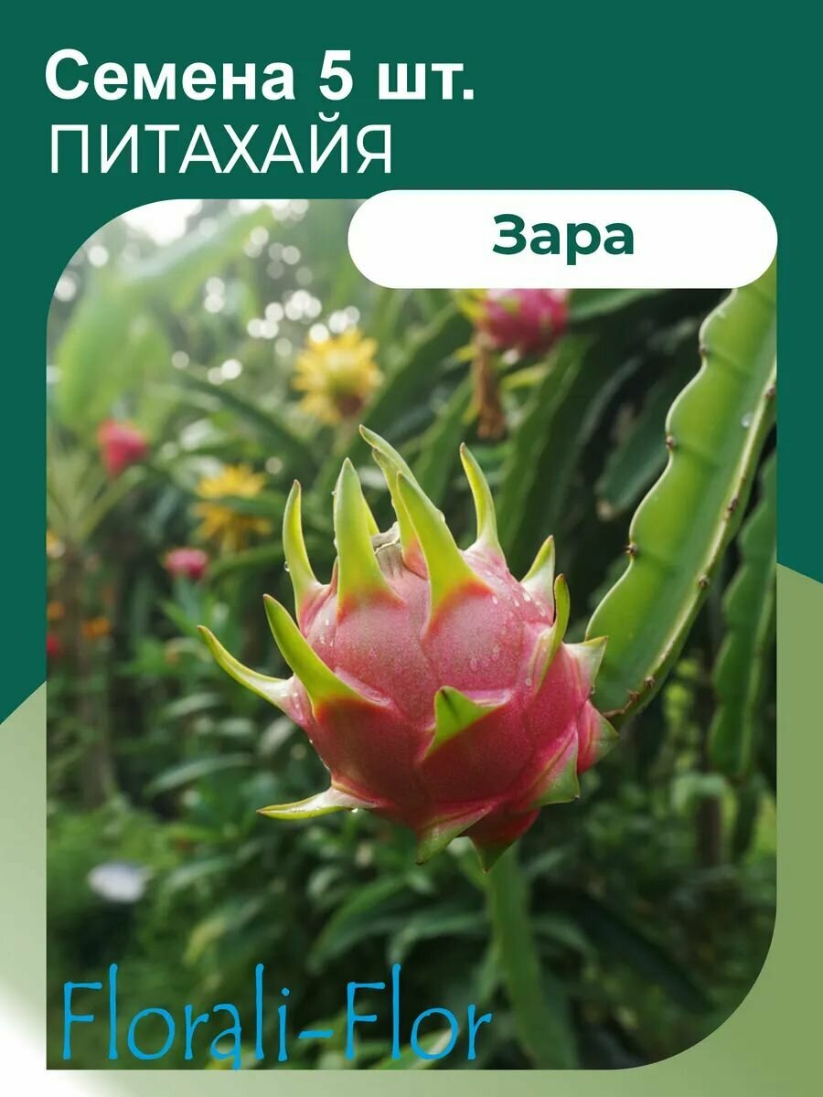 Питахайя Семена