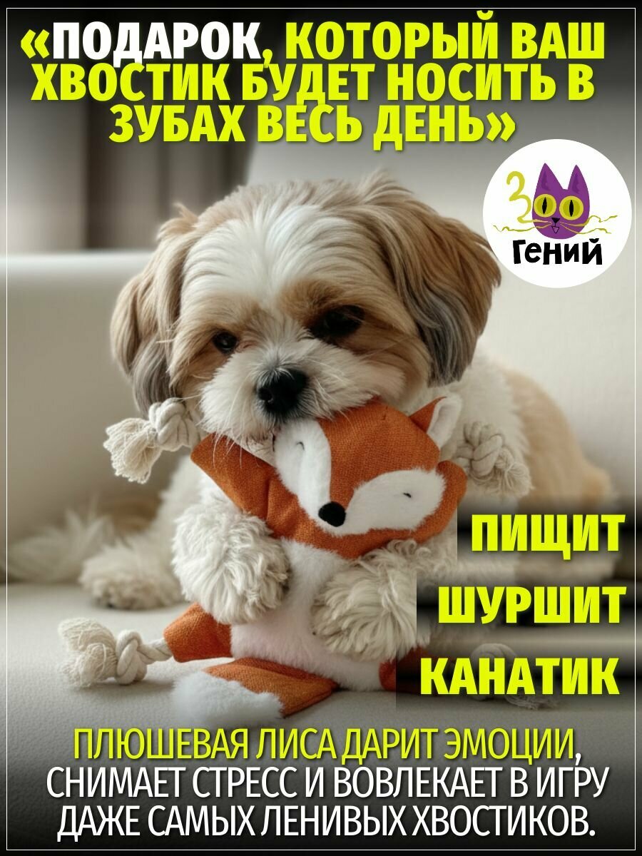 Мягкая, шуршащая игрушка для собак "Лиса" с пищалкой, без наполнителя. Интерактивная игрушка с канатом для здоровья клыков и десен собак.
