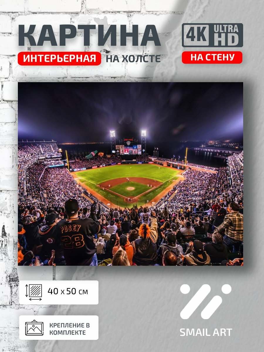 Картина на холсте интерьерная 40 на 50 на стену Стадион Mood для спальни атмосфера интерьер