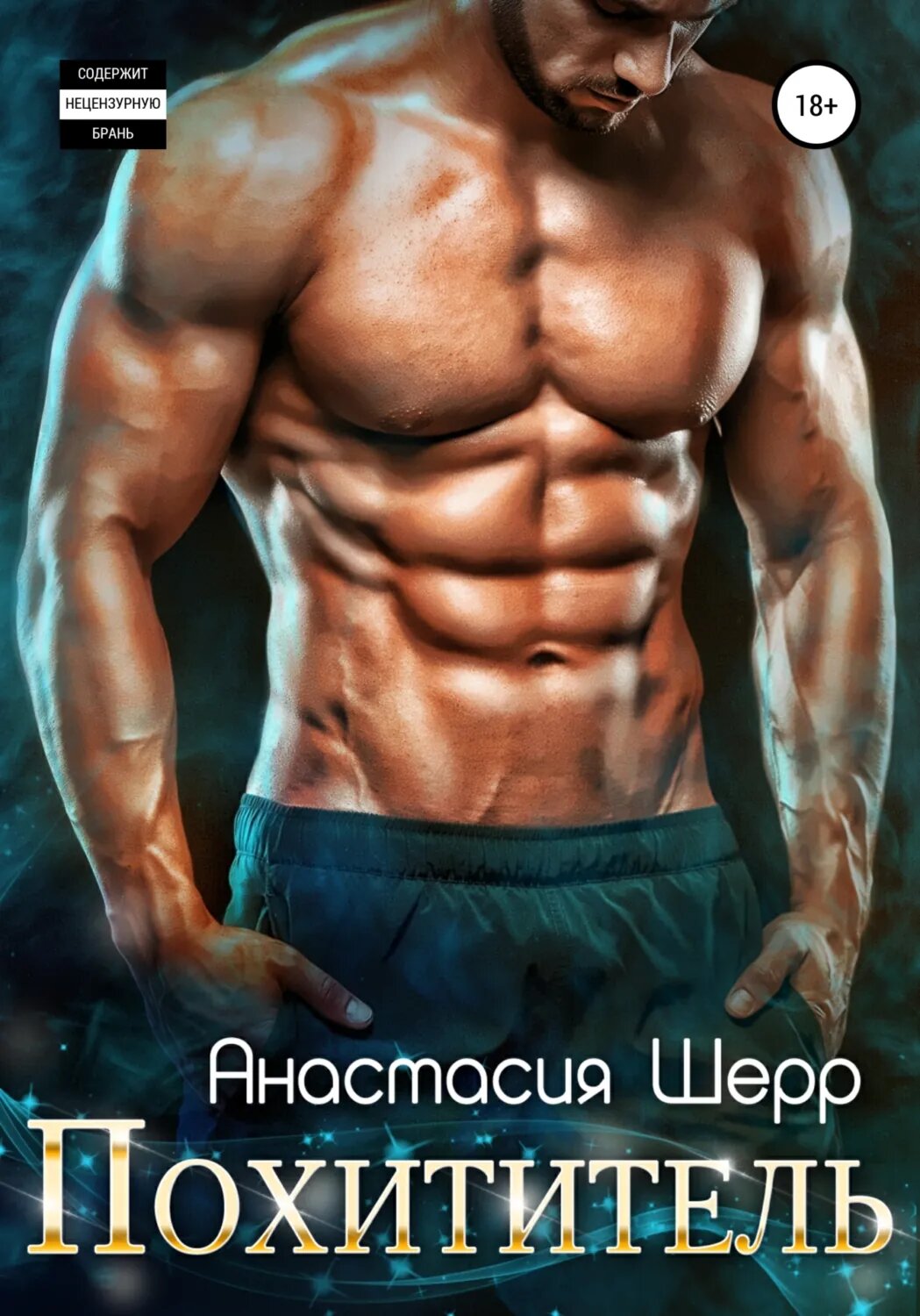 Похититель [Цифровая книга]