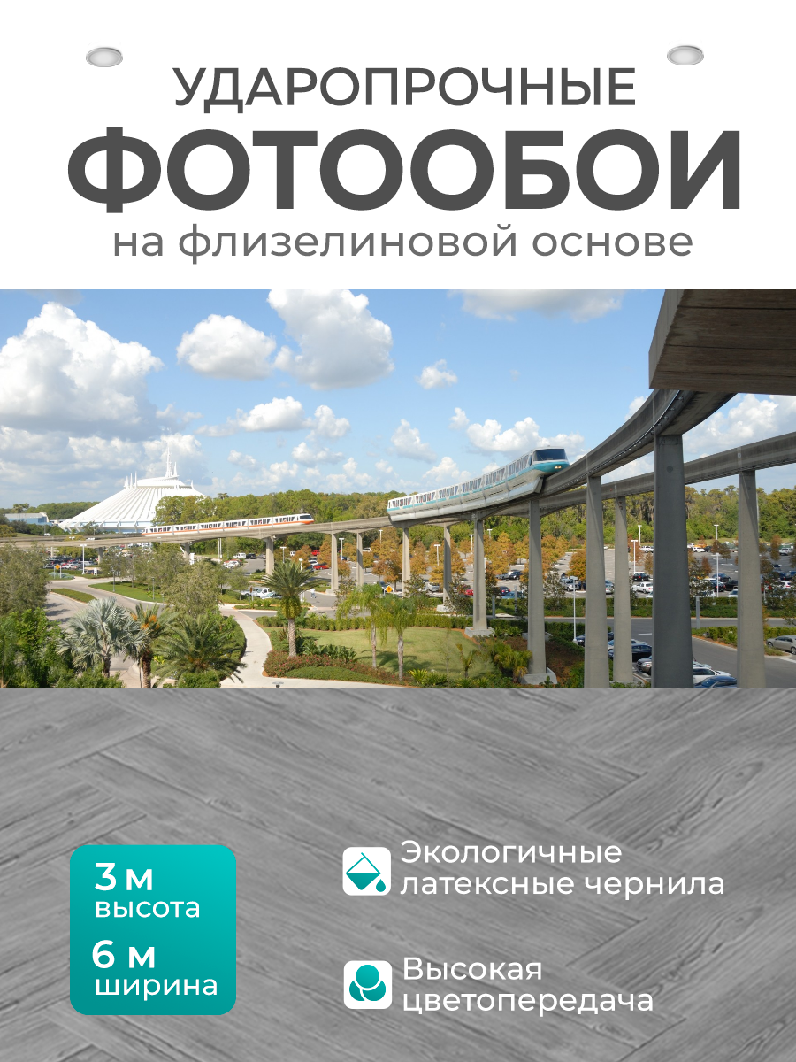 Фотообои моющиеся ударопрочные "Монорельс поезд Монорельс Поезд в тематический парк монорельсовая дорога поезд треков транспорт поездка открытом." 600x300 см. флизелиновые на стену