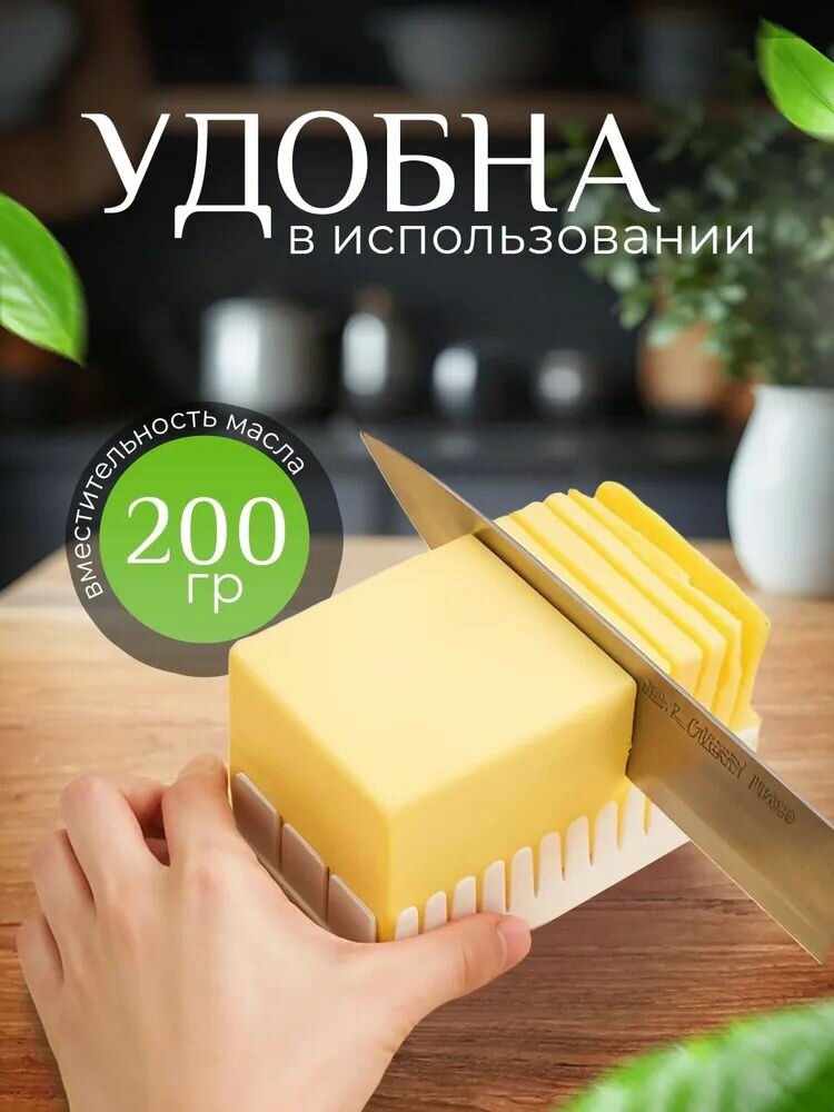 Масленка, сырница — фото 1
