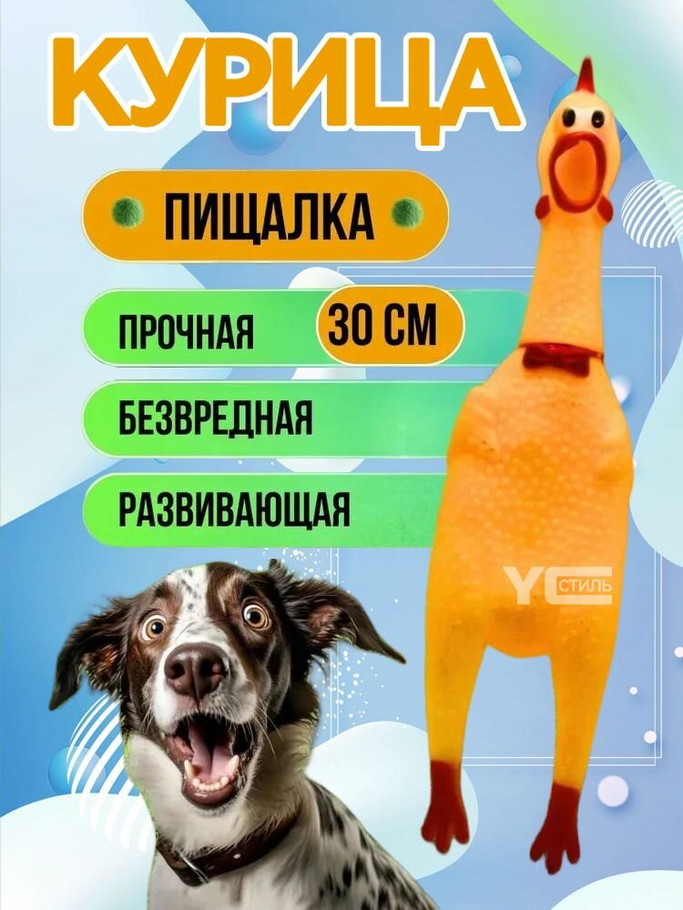 Игрушка для собак и щенков кричащая курица с пищалкой / Развивающая игрушка антистресс для средних пород 30 см