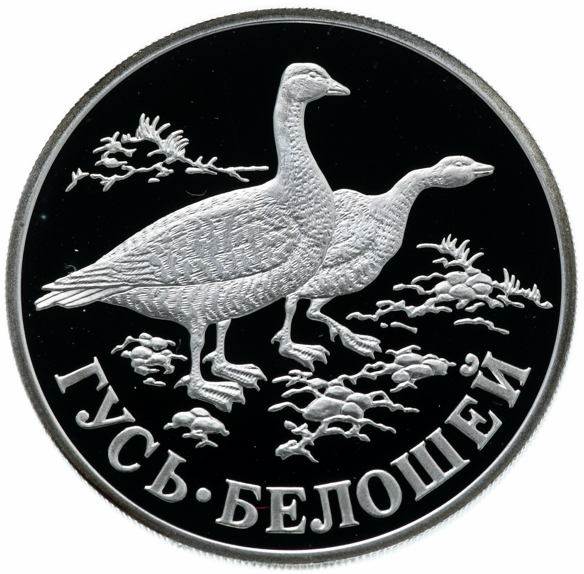 1 рубль 1998 СПМД Proof "Красная книга Гусь-белошей", Серебро 900