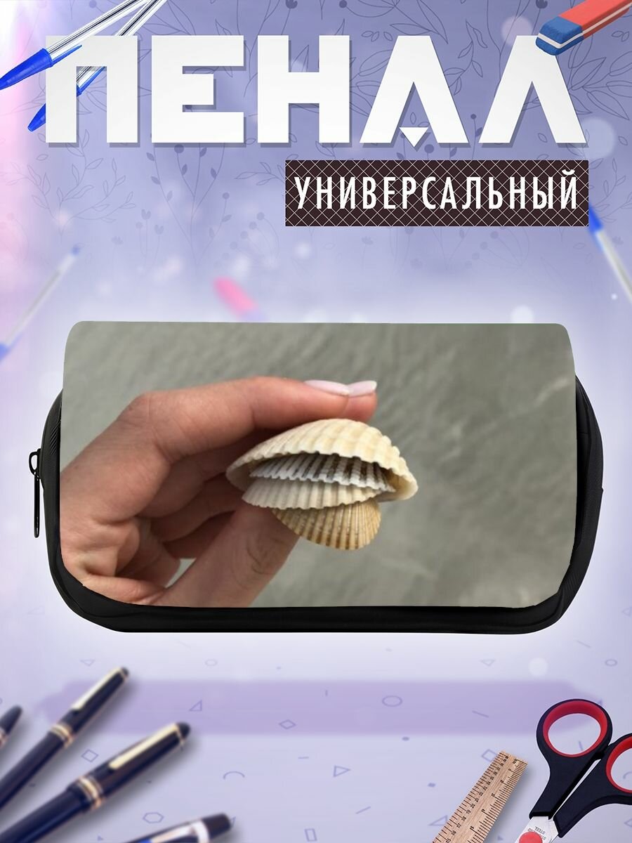 Школьный пенал ракушка двустворчатый моллюск