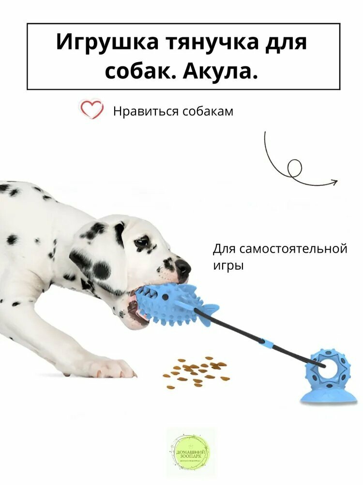Игрушка тянучка для собаки акула / игрушки для собак на присоске
