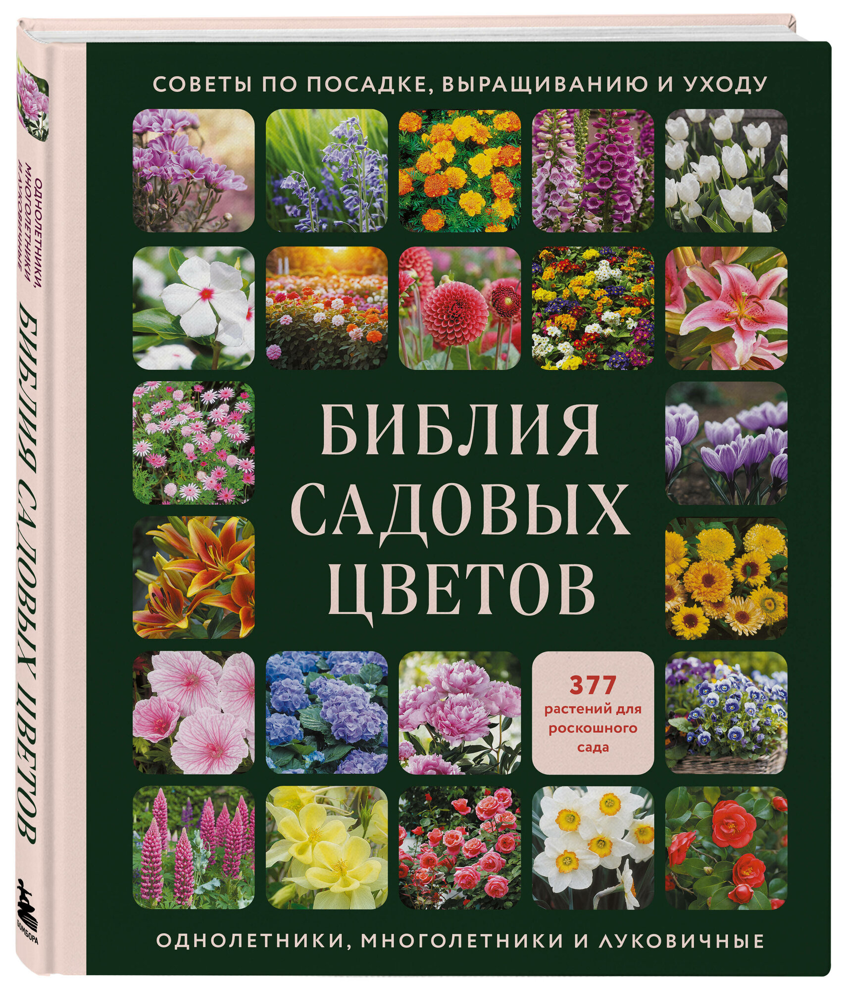 Библия садовых цветов. Однолетники, многолетники и луковичные. Советы по посадке, выращиванию и уходу