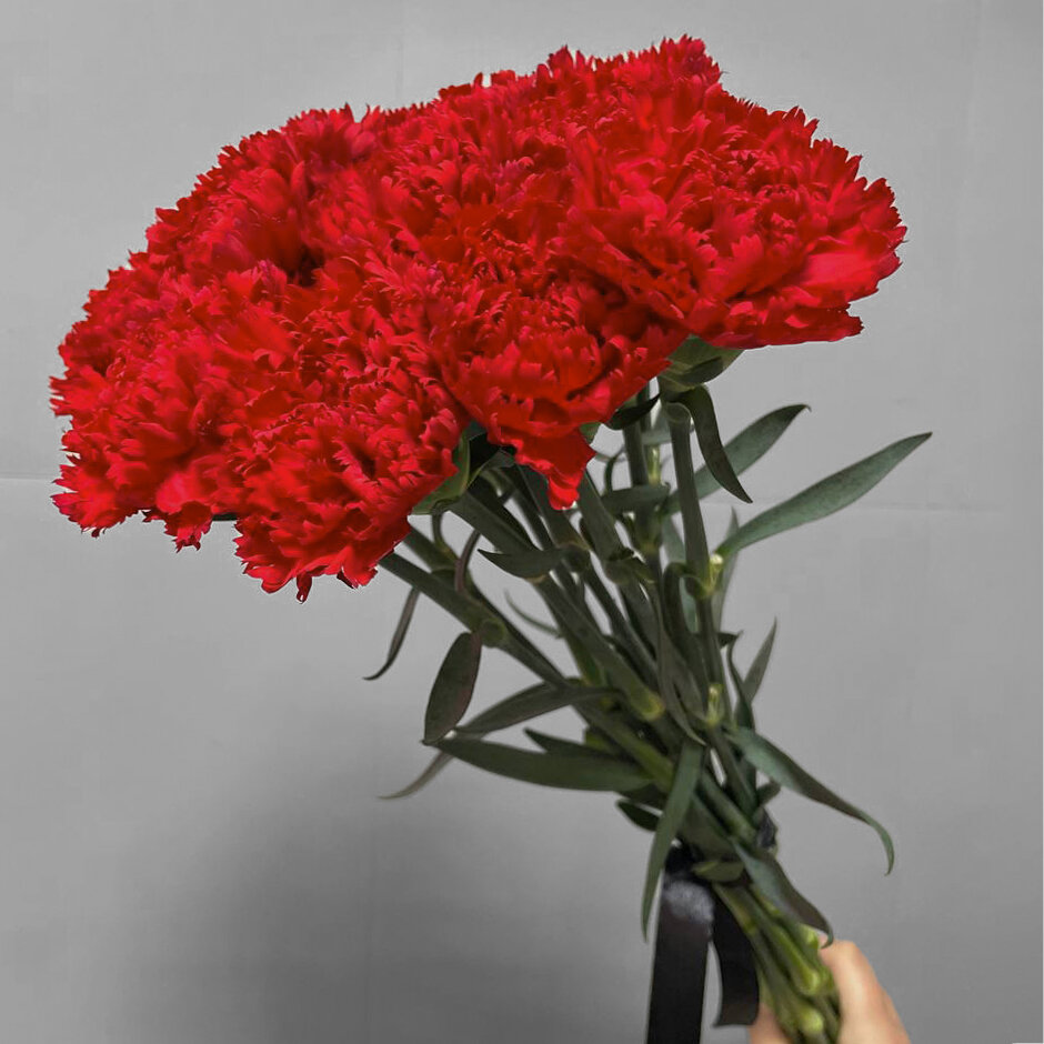 Монобукет гвоздик "Красные гвоздики", 12 штук, высота 60см, черная лента