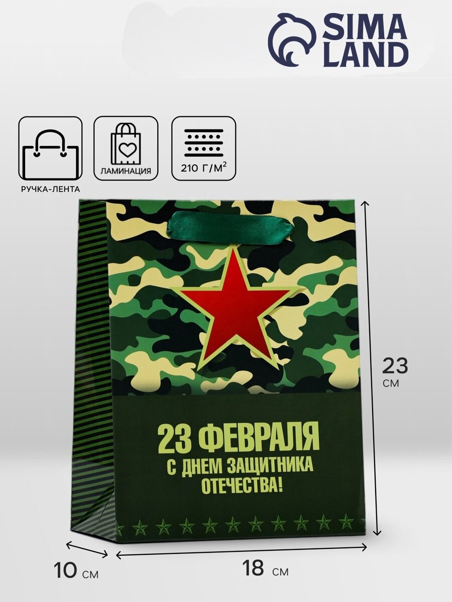 Пакет подарочный ламинированный вертикальный «23 февраля», 18×23×10 см