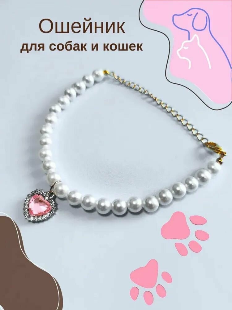 Ошейник для кошек и собак